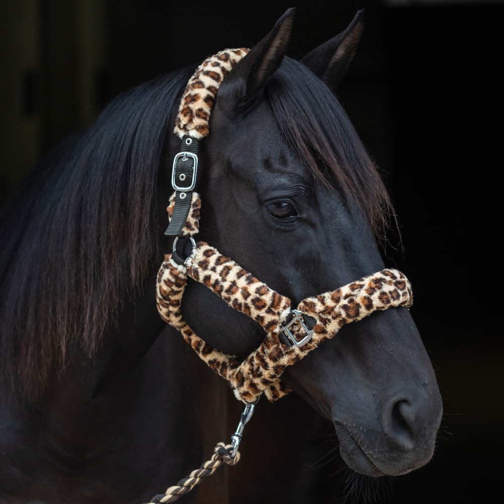 Grimma Leo Fairfield® - Hööks