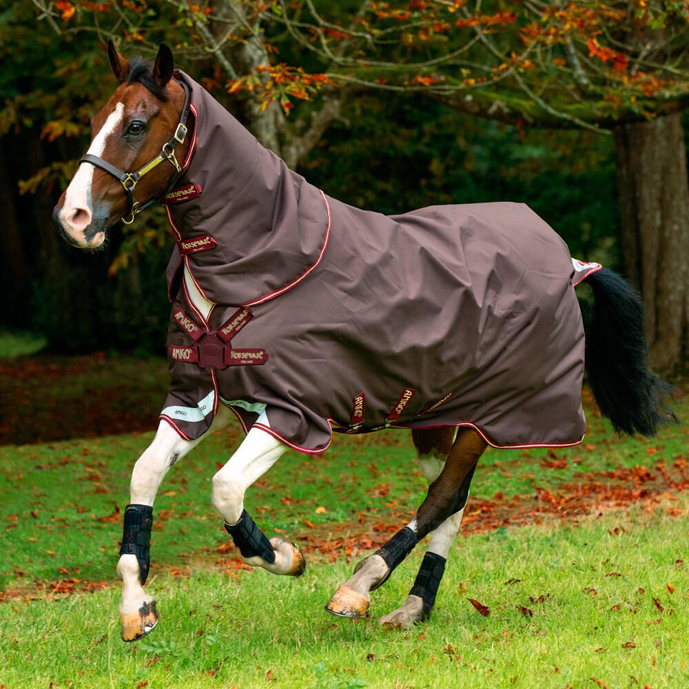 Utet cke Amigo Bravo 12 Plus 100 Horseware H ks Utet cke Amigo Bravo 12 Plus 100 Horseware H ks
