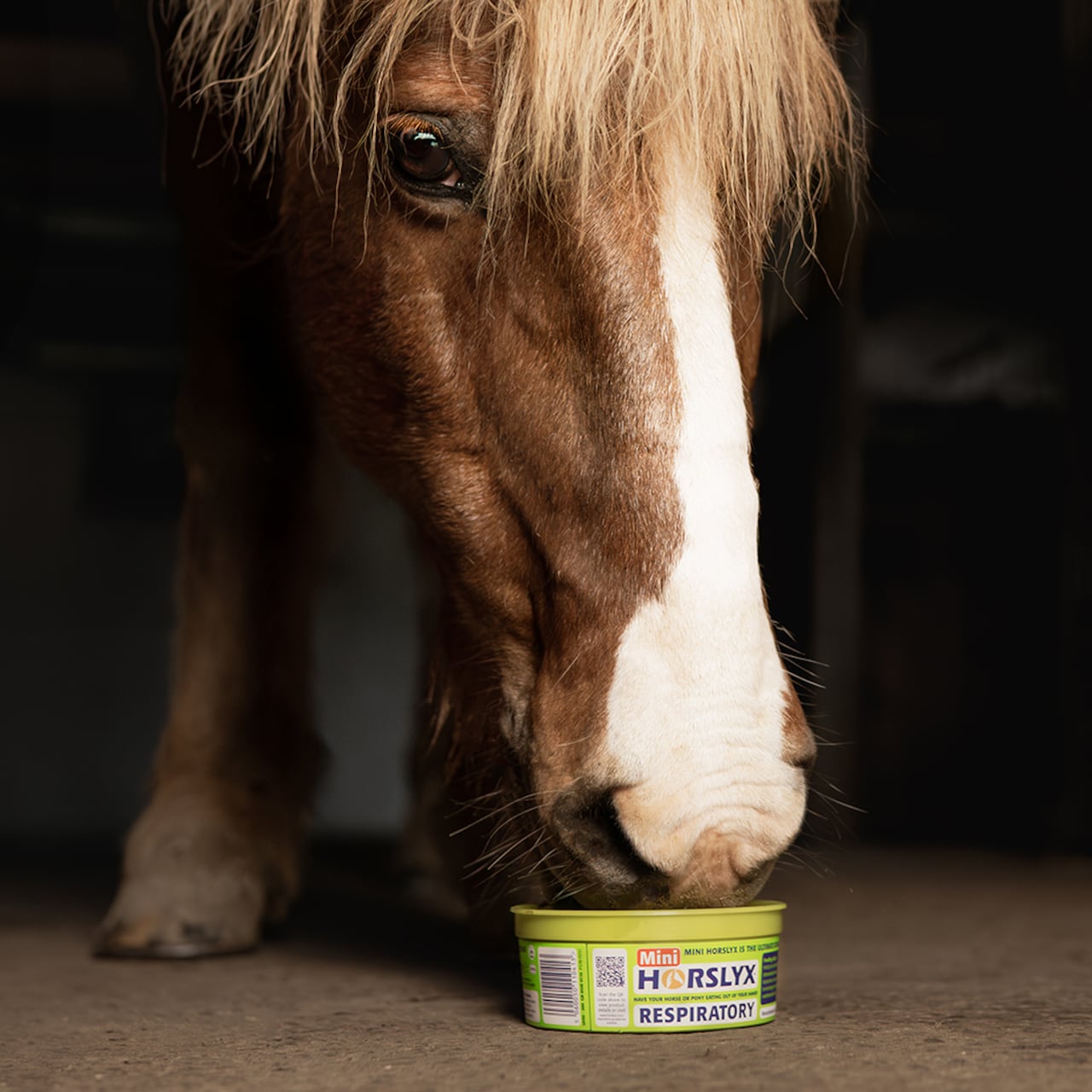 Horslyx Mini Horselyx - Hööks